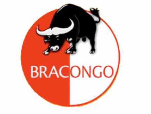 RDC : BRACONGO SA recrute un chargé de communication RSE, interne et ...